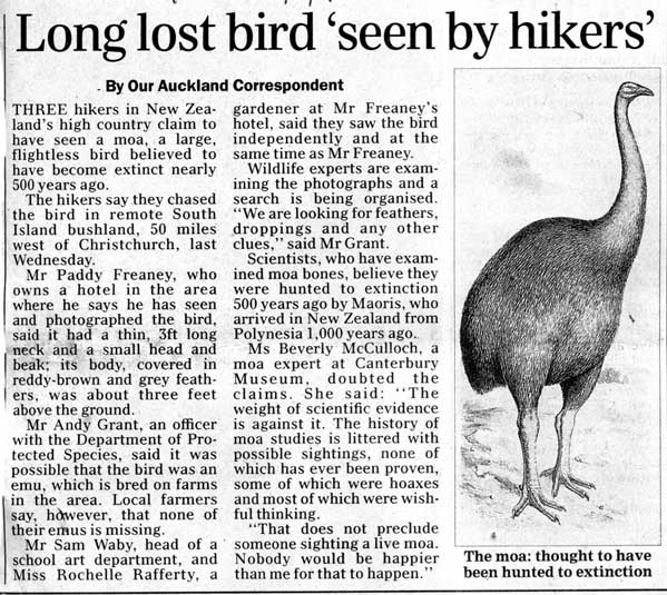 New Zealand Monster Sighting | New Zealand Travel Blog