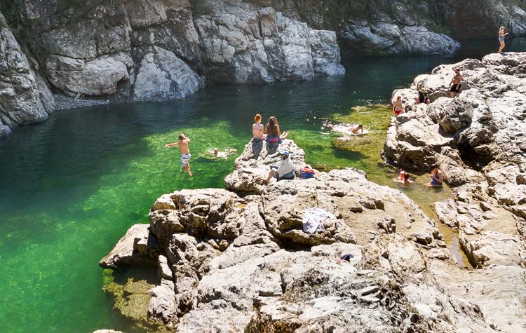 Beaches In New Zealand Swim Guide