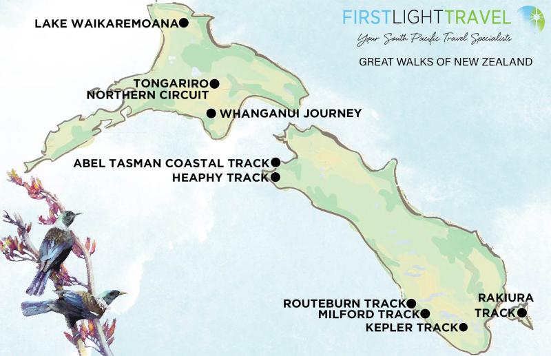 NZ Great Walks – Choosing the right track for you | Travel Blog